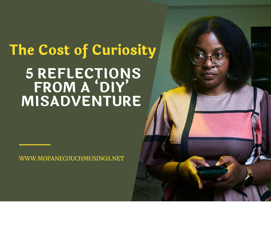 The Cost of Curiosity: 5 Reflections from a DIY Misadventure – Mopane ...